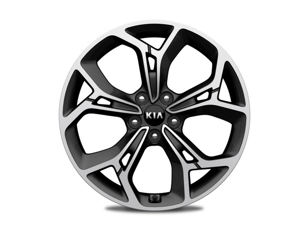 Kia Alloy Wheel Kit 19" | Kia Wheels | Park's Store